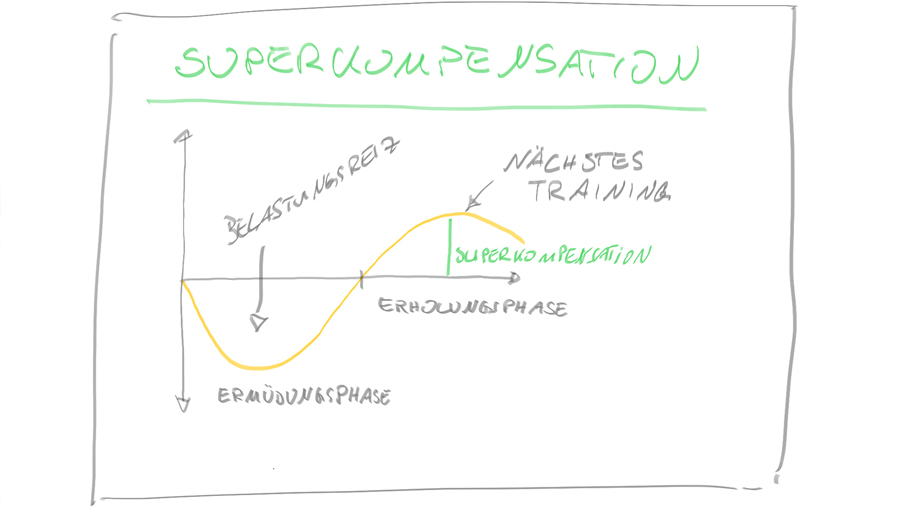 Warum das Modell der Superkompensation überholt ist › Uncategorized › JORGE